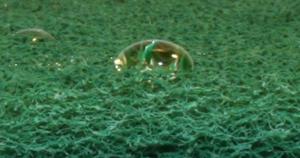 Oleophobic Fibre | Corazzi Fibre